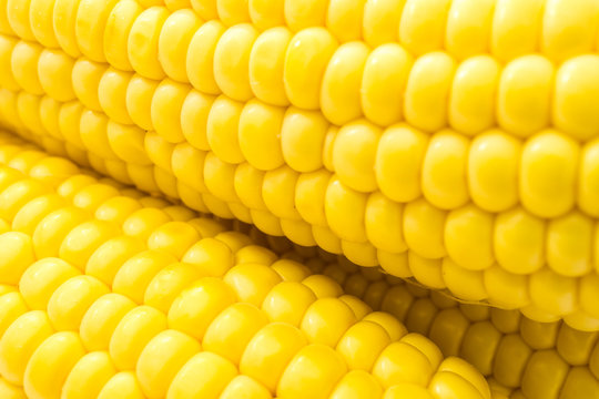 「Genmanipuliert」の画像 - 636 件の Stock 写真、ベクターおよびビデオ | Adobe Stock