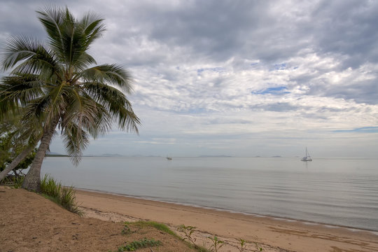 Cardwell Images – Parcourir 193 le catalogue de photos, vecteurs et ...