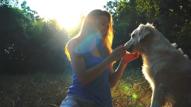 Canoodle Images – Browse 813 Stock Photos, Vectors, and Video | Adobe Stock