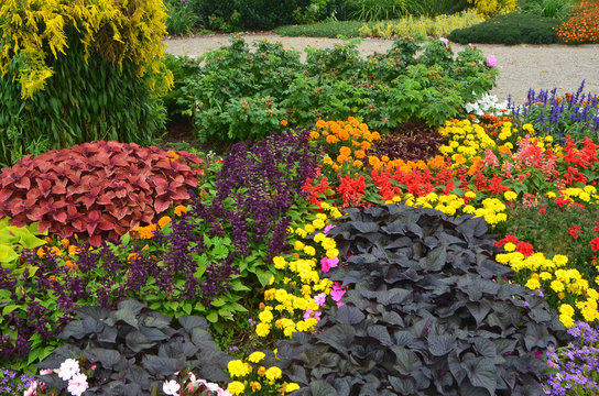 「Rabatten」の画像 - 1,467 件の Stock 写真、ベクターおよびビデオ | Adobe Stock