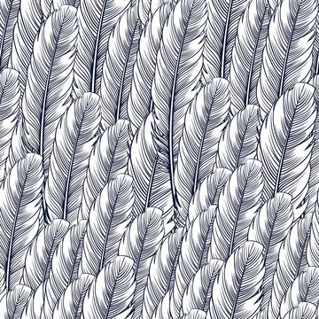 Feather Seamless Pattern