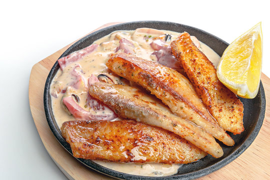 「Potapo」の写真素材 | 66件の無料イラスト画像 | Adobe Stock