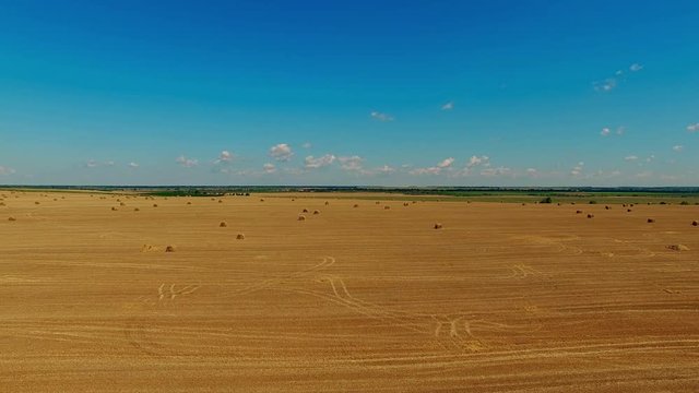 Stook Images – Browse 222 Stock Photos, Vectors, and Video | Adobe Stock