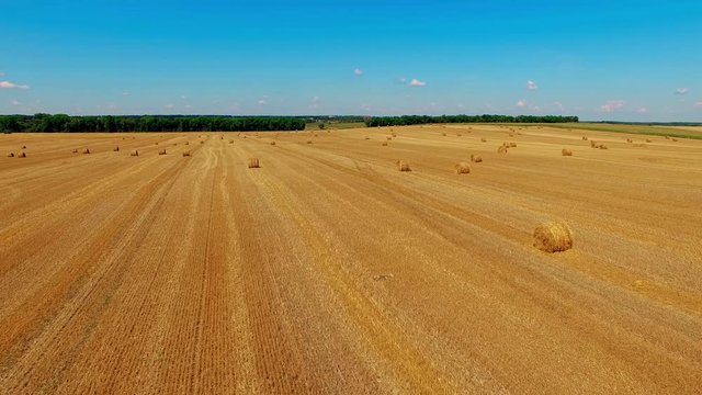 Stook Images – Browse 222 Stock Photos, Vectors, and Video | Adobe Stock