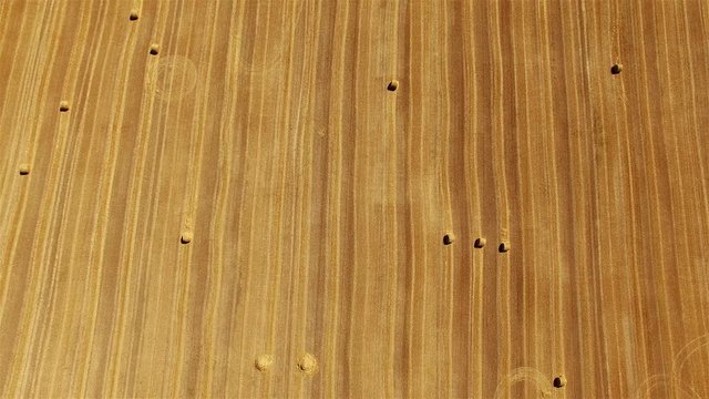 Stook Images – Browse 222 Stock Photos, Vectors, and Video | Adobe Stock