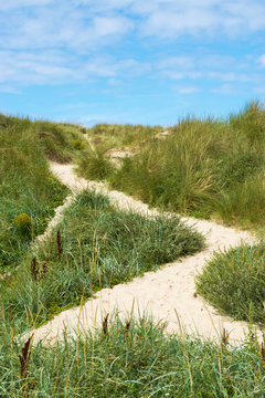 Sandweg Bilder – Durchsuchen 1,099 Archivfotos, Vektorgrafiken und ...