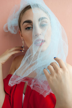 「Zendale」の写真素材 | 28件の無料イラスト画像 | Adobe Stock