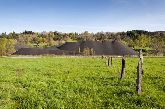 Robla Images – Browse 35 Stock Photos, Vectors, and Video | Adobe Stock