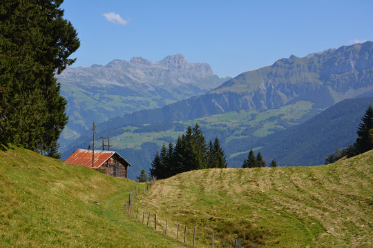 Attinghausen Bilder – Durchsuchen 27 Archivfotos, Vektorgrafiken und ...