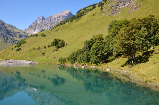 Attinghausen Bilder – Durchsuchen 27 Archivfotos, Vektorgrafiken und ...