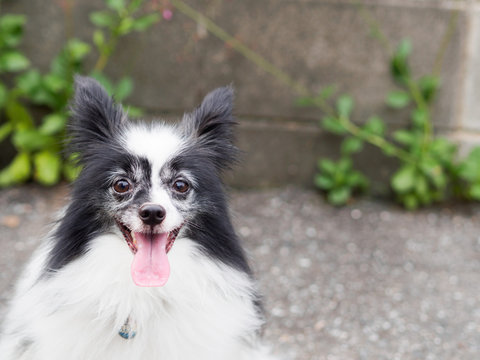 aki99 photos, images, assets | Adobe Stock