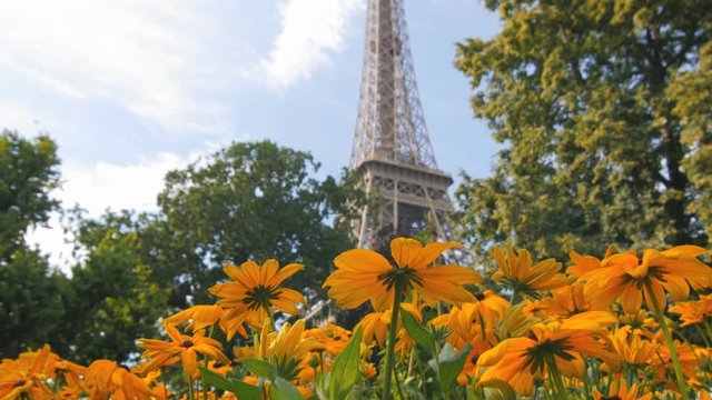 Eiffel Tower Flowers Images – Browse 11,439 Stock Photos, Vectors, and ...