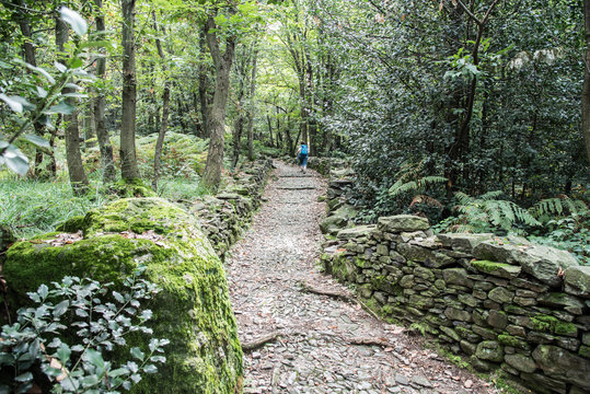 Wander Images – Browse 904,385 Stock Photos, Vectors, and Video | Adobe ...