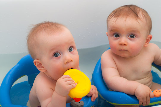 kalmot photos, images, assets | Adobe Stock