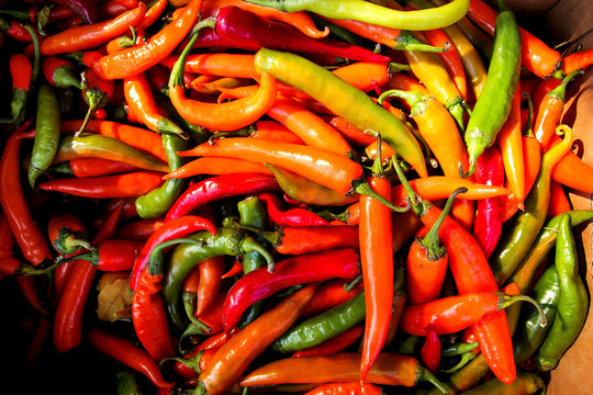 Pfefferoni bilder – Bläddra bland 2,471 stockfoton, vektorer och videor ...