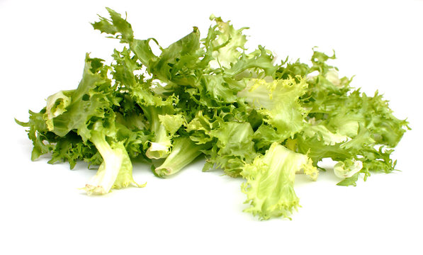 Scarole Imagens – Procure 720 fotos, vetores e vídeos | Adobe Stock