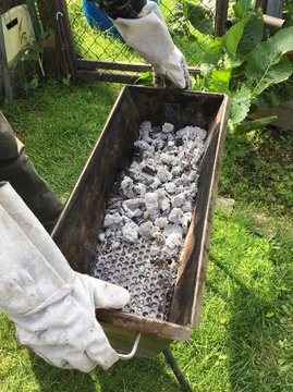 Asche bilder – Bläddra bland 10,123 stockfoton, vektorer och videor ...