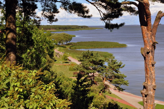 รูปภาพNidden – เลือกดูภาพถ่ายสต็อก เวกเตอร์ และวิดีโอ302 | Adobe Stock