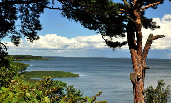 รูปภาพNidden – เลือกดูภาพถ่ายสต็อก เวกเตอร์ และวิดีโอ302 | Adobe Stock