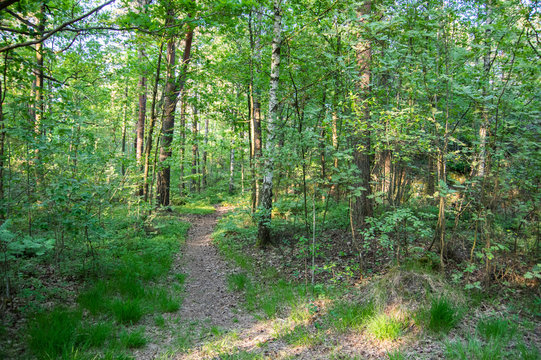 Stigen Images – Browse 77 Stock Photos, Vectors, and Video | Adobe Stock