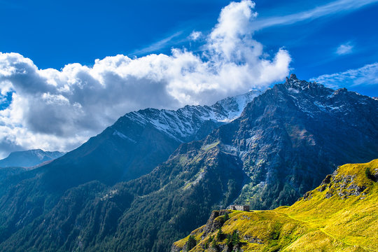 Veve photos, royalty-free images, graphics, vectors & videos | Adobe Stock