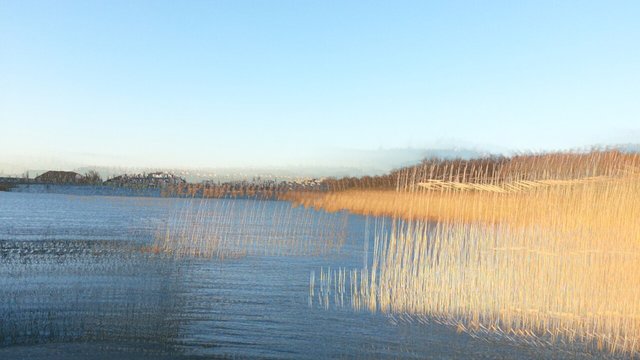 fashar photos, images, assets | Adobe Stock