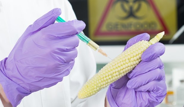 「Genfood」の画像 - 664 件の Stock 写真、ベクターおよびビデオ | Adobe Stock