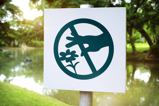 No Picking Flowers Sign Images – Browse 516 Stock Photos, Vectors, and ...