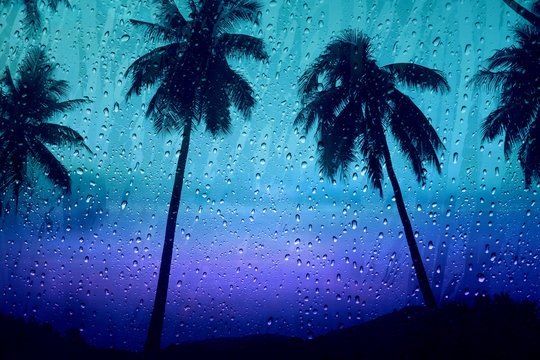 Rainy Beach Bilder – Durchsuchen 23,839 Archivfotos, Vektorgrafiken und ...