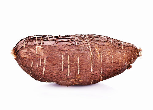 Maracheeni Images – Browse 56 Stock Photos, Vectors, and Video | Adobe ...