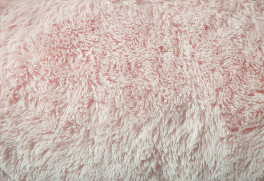 Fluffy Images – Browse 2,275,939 Stock Photos, Vectors, and Video ...