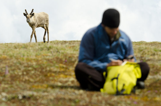 รูปภาพFieldwork – เลือกดูภาพถ่ายสต็อก เวกเตอร์ และวิดีโอ1,552,671 ...