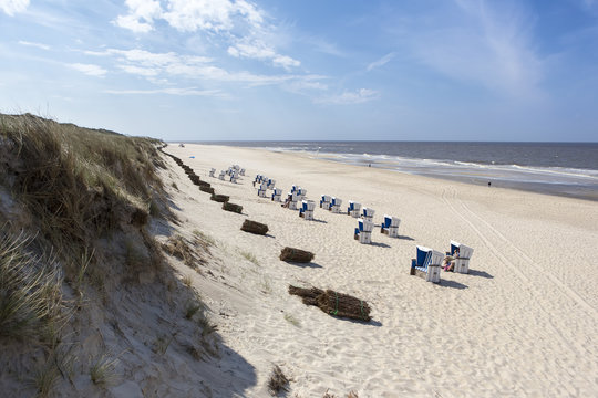 Wllen Images – Browse 53 Stock Photos, Vectors, and Video | Adobe Stock