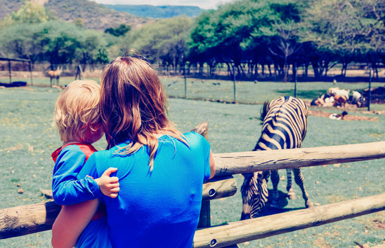 「Zeebra」の画像 - 75 件の Stock 写真、ベクターおよびビデオ | Adobe Stock