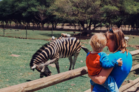「Zeebra」の画像 - 75 件の Stock 写真、ベクターおよびビデオ | Adobe Stock