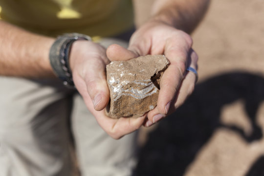 Fossiliensammeln Bilder – Durchsuchen 3 Archivfotos, Vektorgrafiken und ...