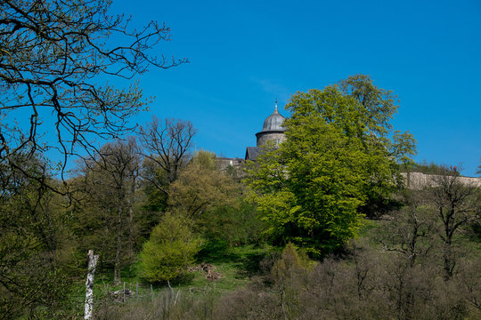 Eichenbaum 이미지 – 찾아보기 1,109 스톡 사진, 벡터 및 비디오 | Adobe Stock