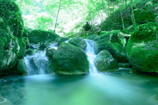 รูปภาพFelse – เลือกดูภาพถ่ายสต็อก เวกเตอร์ และวิดีโอ290 | Adobe Stock