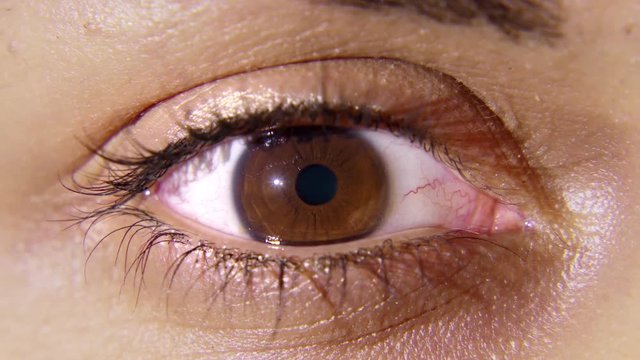 Imagens de Constriction – Explore Fotografias do Stock, Vetores e ...