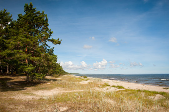 Great European Plain Facts