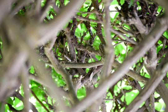 「Ramaje」の写真素材 | 461件の無料イラスト画像 | Adobe Stock