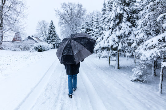 รูปภาพSchneeschauer – เลือกดูภาพถ่ายสต็อก เวกเตอร์ และวิดีโอ297 | Adobe ...