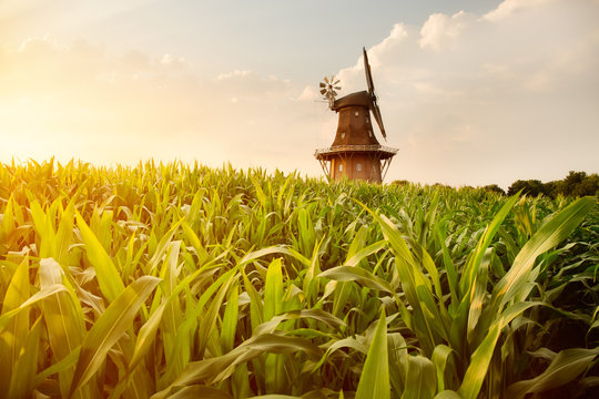 รูปภาพHoltland – เลือกดูภาพถ่ายสต็อก เวกเตอร์ และวิดีโอ13 | Adobe Stock