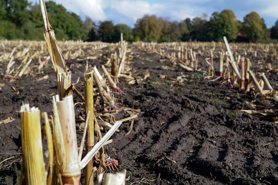 รูปภาพStoppel – เลือกดูภาพถ่ายสต็อก เวกเตอร์ และวิดีโอ2,208 | Adobe Stock