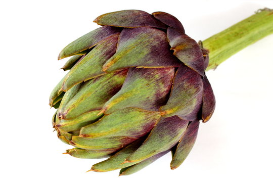 รูปภาพCynara – เลือกดูภาพถ่ายสต็อก เวกเตอร์ และวิดีโอ5,985 | Adobe Stock