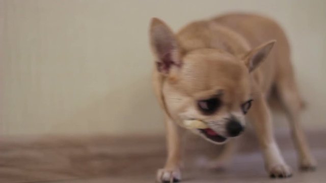 Enjoyable Images – Browse 39,400 Stock Photos, Vectors, and Video ...