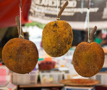 Marang Images – Browse 659 Stock Photos, Vectors, and Video | Adobe Stock