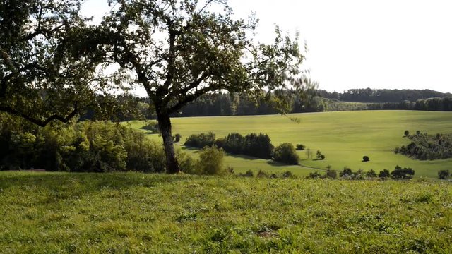 รูปภาพNeueneck – เลือกดูภาพถ่ายสต็อก เวกเตอร์ และวิดีโอ9 | Adobe Stock