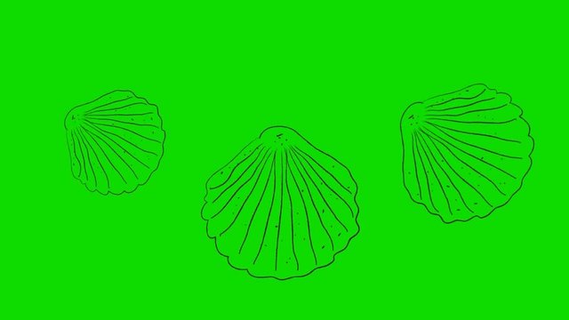 Green Seashell Clipart