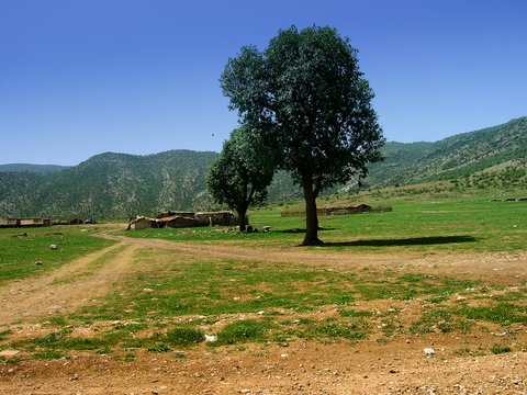 Kische Bilder – Durchsuchen 343 Archivfotos, Vektorgrafiken und Videos ...